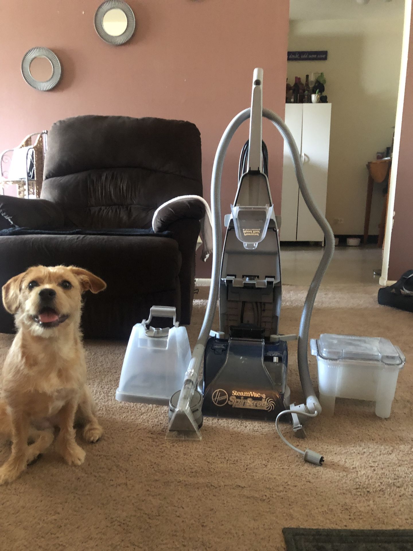 Hoover SteamVac SpinScrub with all attachments for Sale in HOFFMAN EST ...