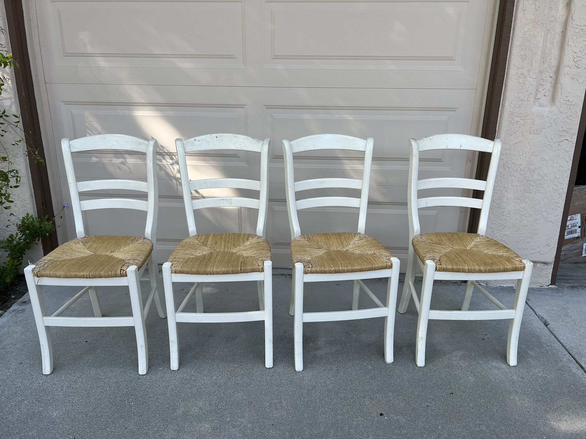 Isabella chairs for sale store