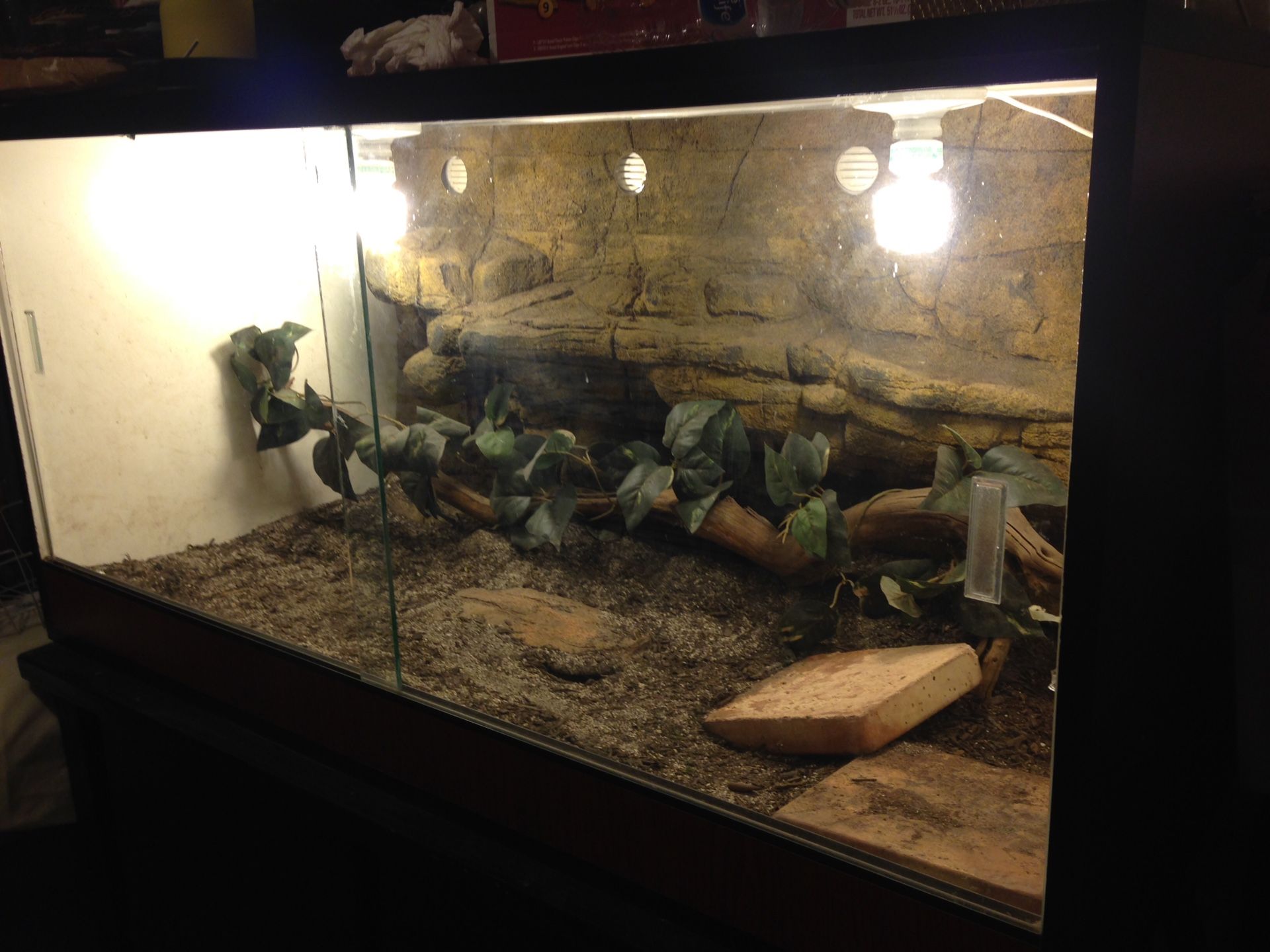 Mangrove Monitor Enclosure