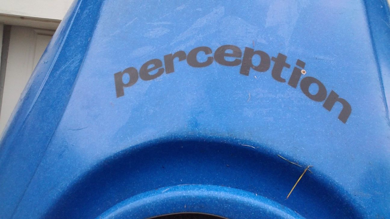 Perception Kayak Logo