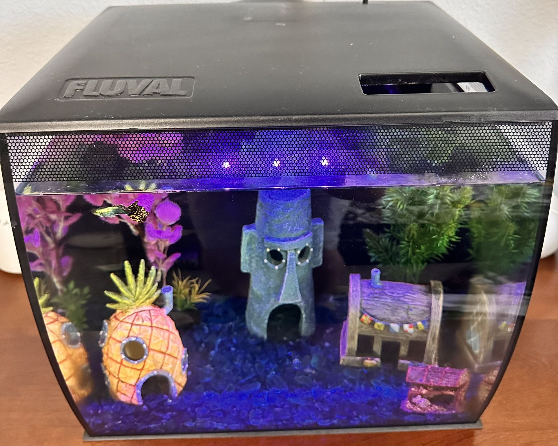 Like New Fluval Cube 9 Gallon Fish Tank! for Sale in Fallbrook, CA ...