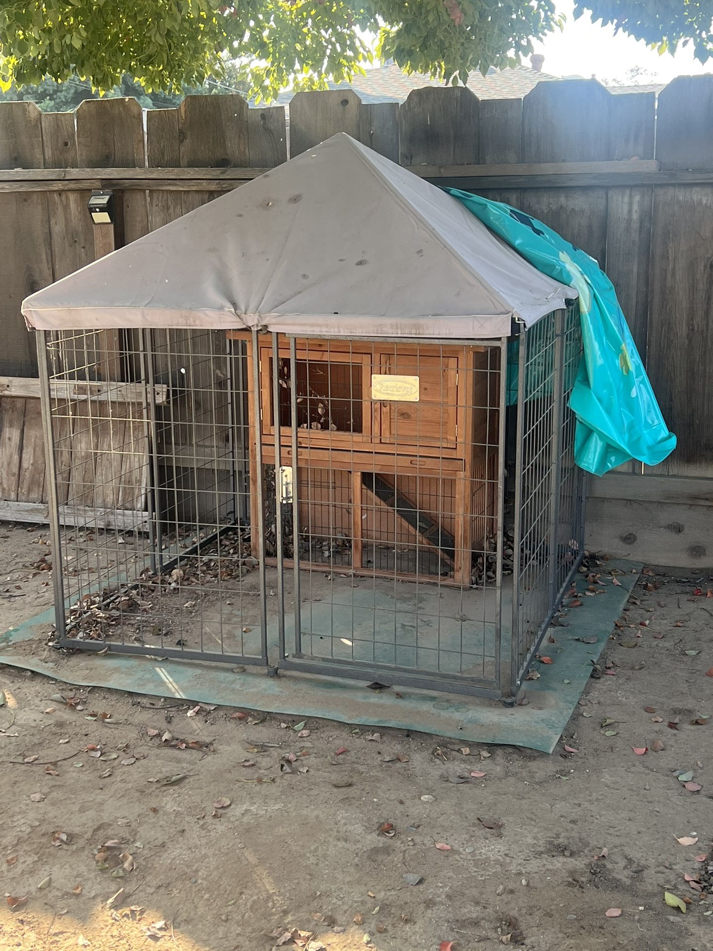 Medium Size Kennel for Sale in Dinuba, CA - OfferUp
