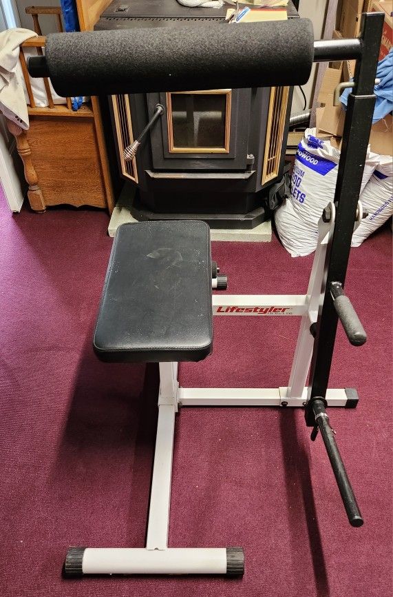 Lifestyler 100 Ab & Back Machine for Sale in Mount Joy, PA - OfferUp