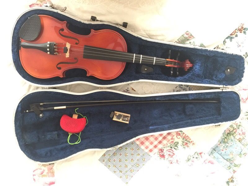 Full size Lidl violin made in Czech Republic for Sale in Buford, GA ...