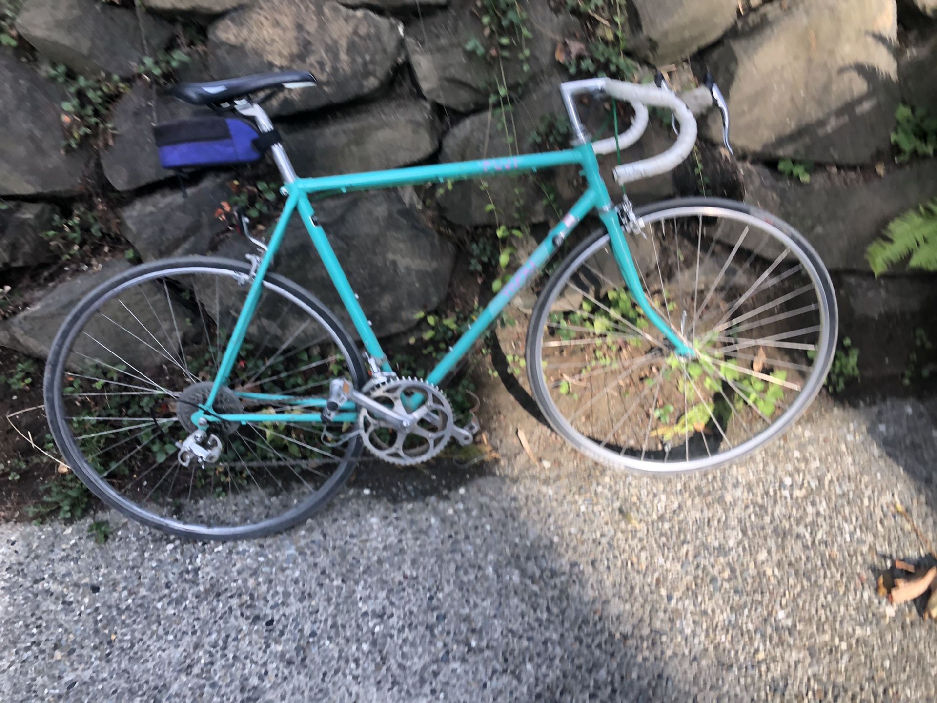Tivoli Fuji Road Bike for Sale in Seattle, WA - OfferUp