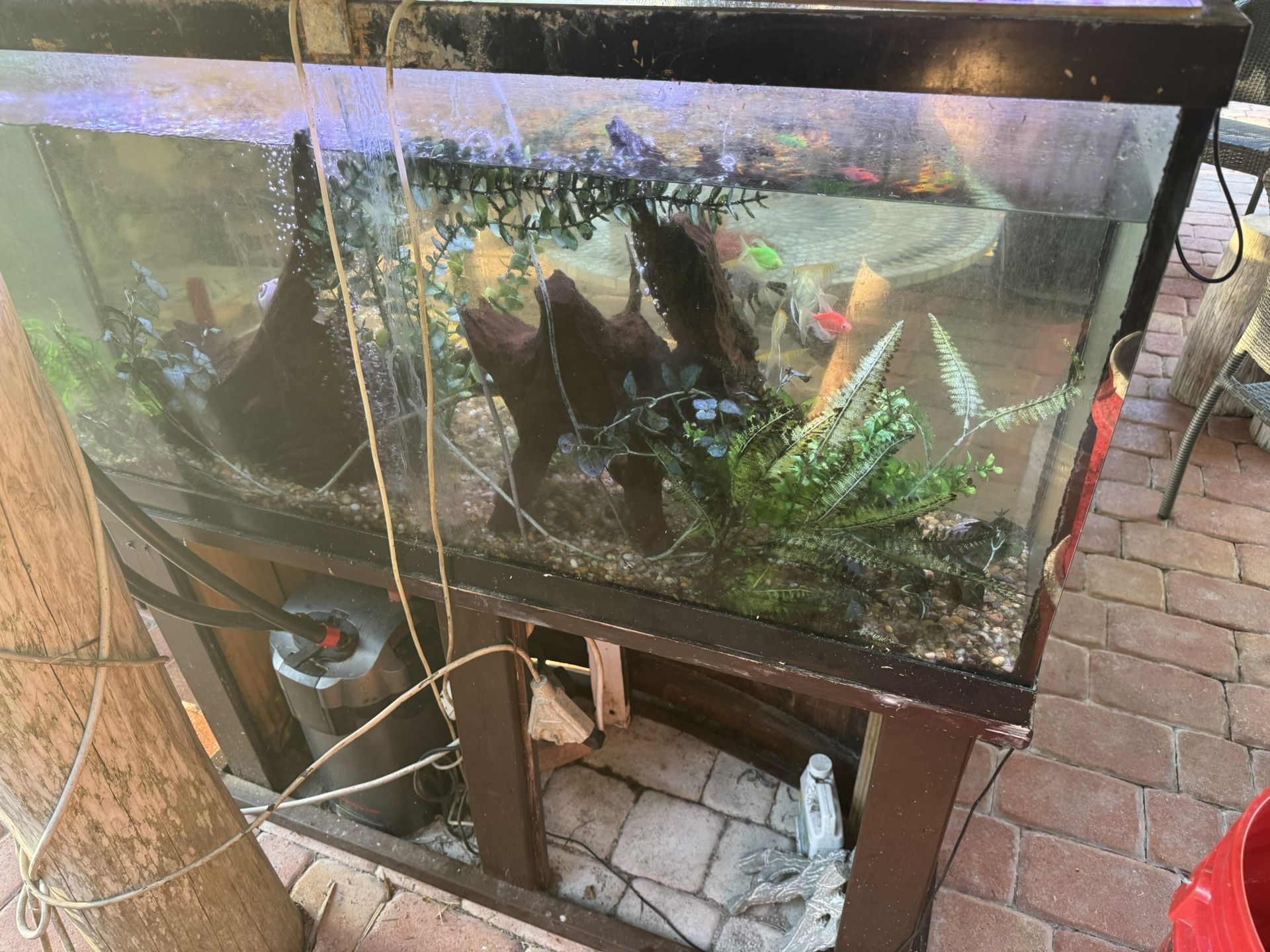 75 gallon reptile tank with stand, tank leaks at the top for Sale in ...