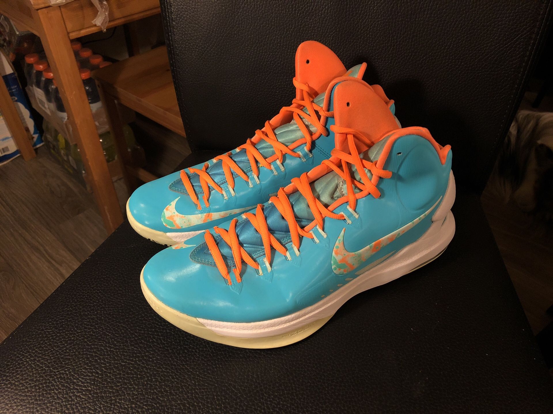 Easter Kd 5