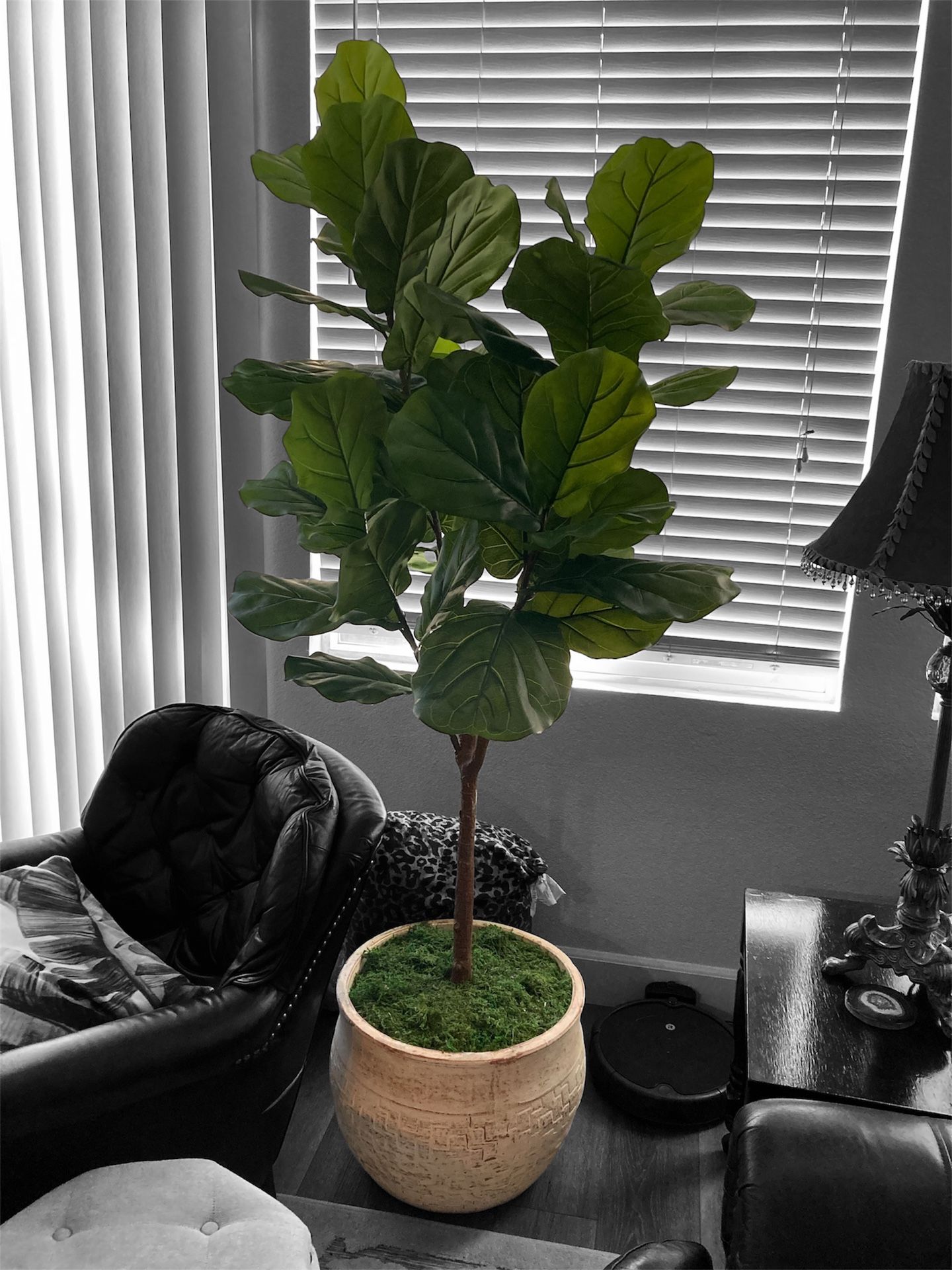 Pending Sale….Artificial Plant for Sale in Modesto, CA - OfferUp