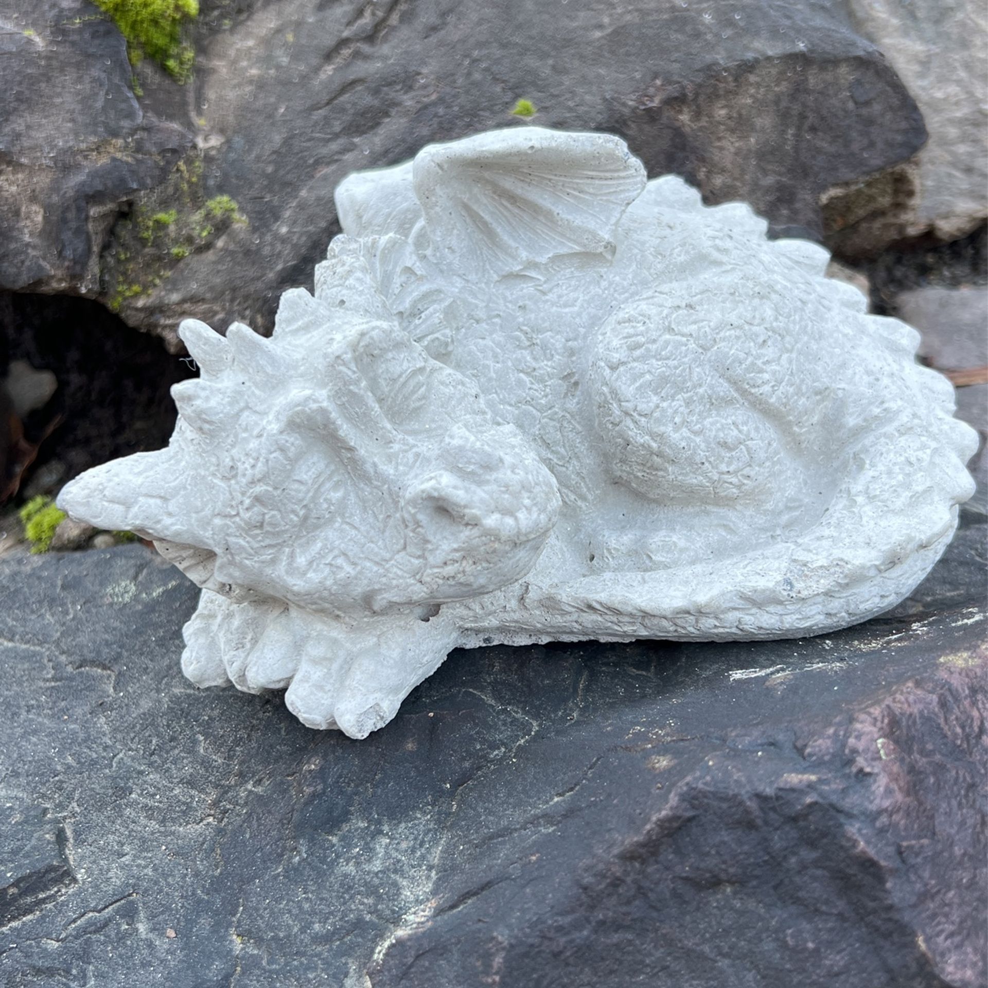 Sleeping Dragon Gargoyle Statue for Sale in Auburn, WA - OfferUp