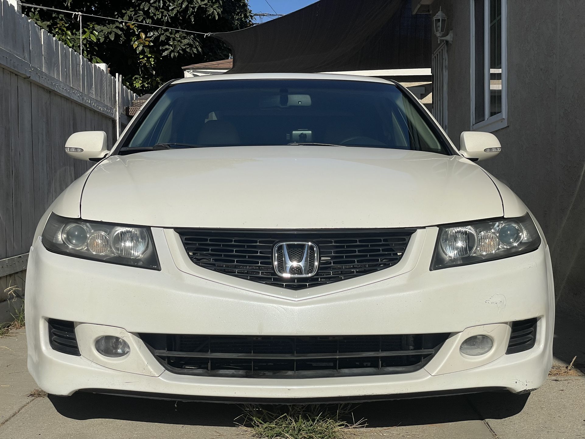 Euro R Grill Moulding 06-08 CL9 Acura TSX Accord White NH624P for Sale ...