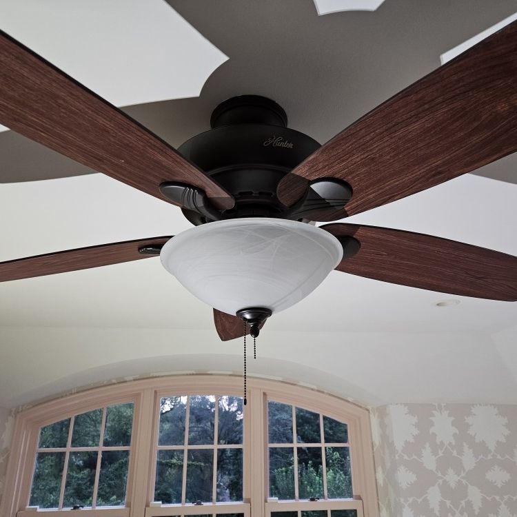 Hunter 60 Inch Regalia Ceiling Fan | Shelly Lighting