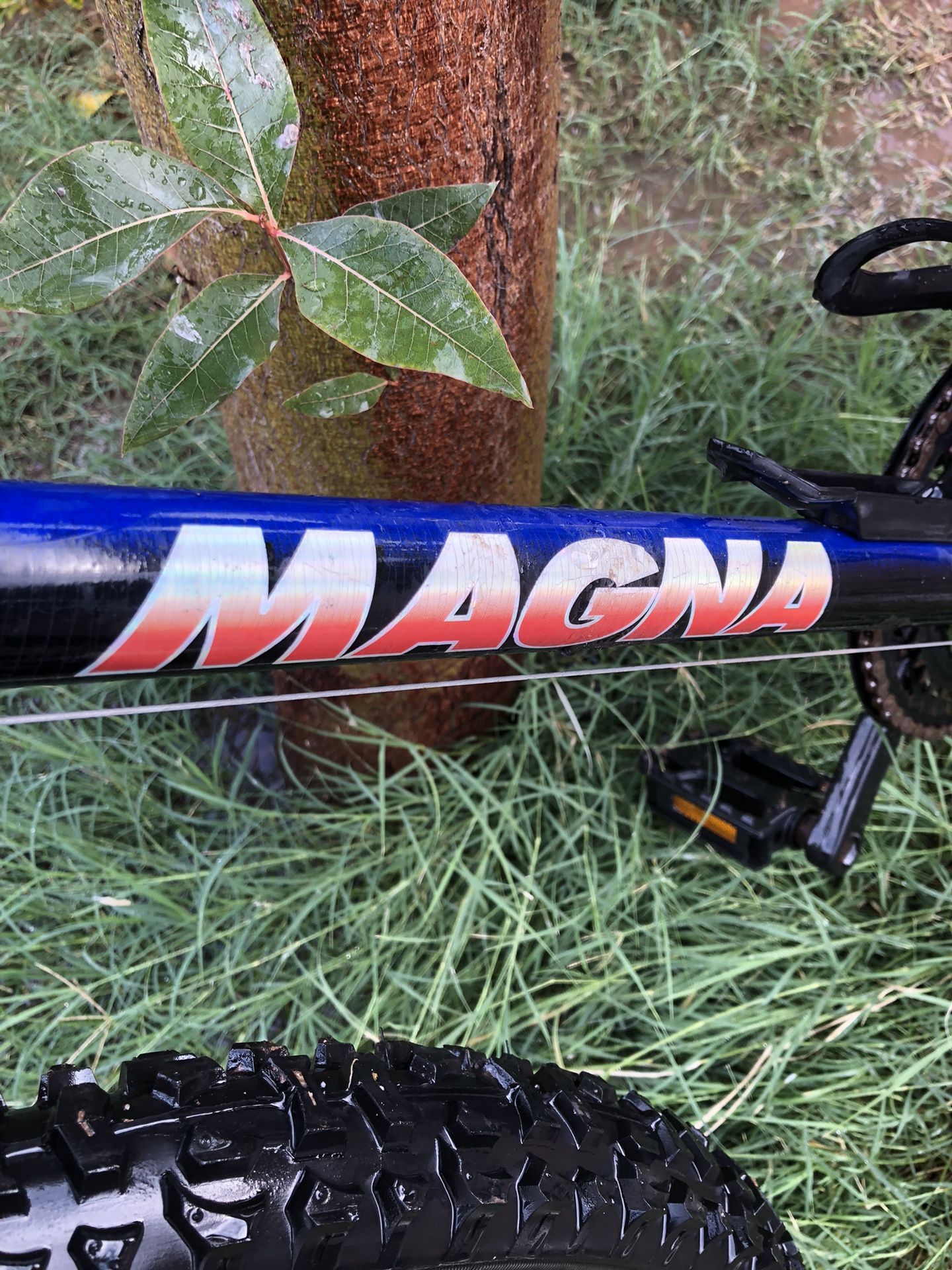 Magna Mountain Bike for Sale in Phoenix, AZ - OfferUp