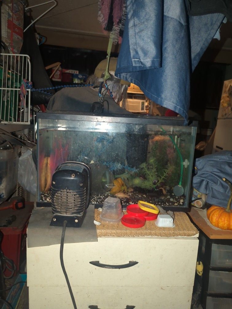 Fish Tank 10g for Sale in P C Beach, FL - OfferUp
