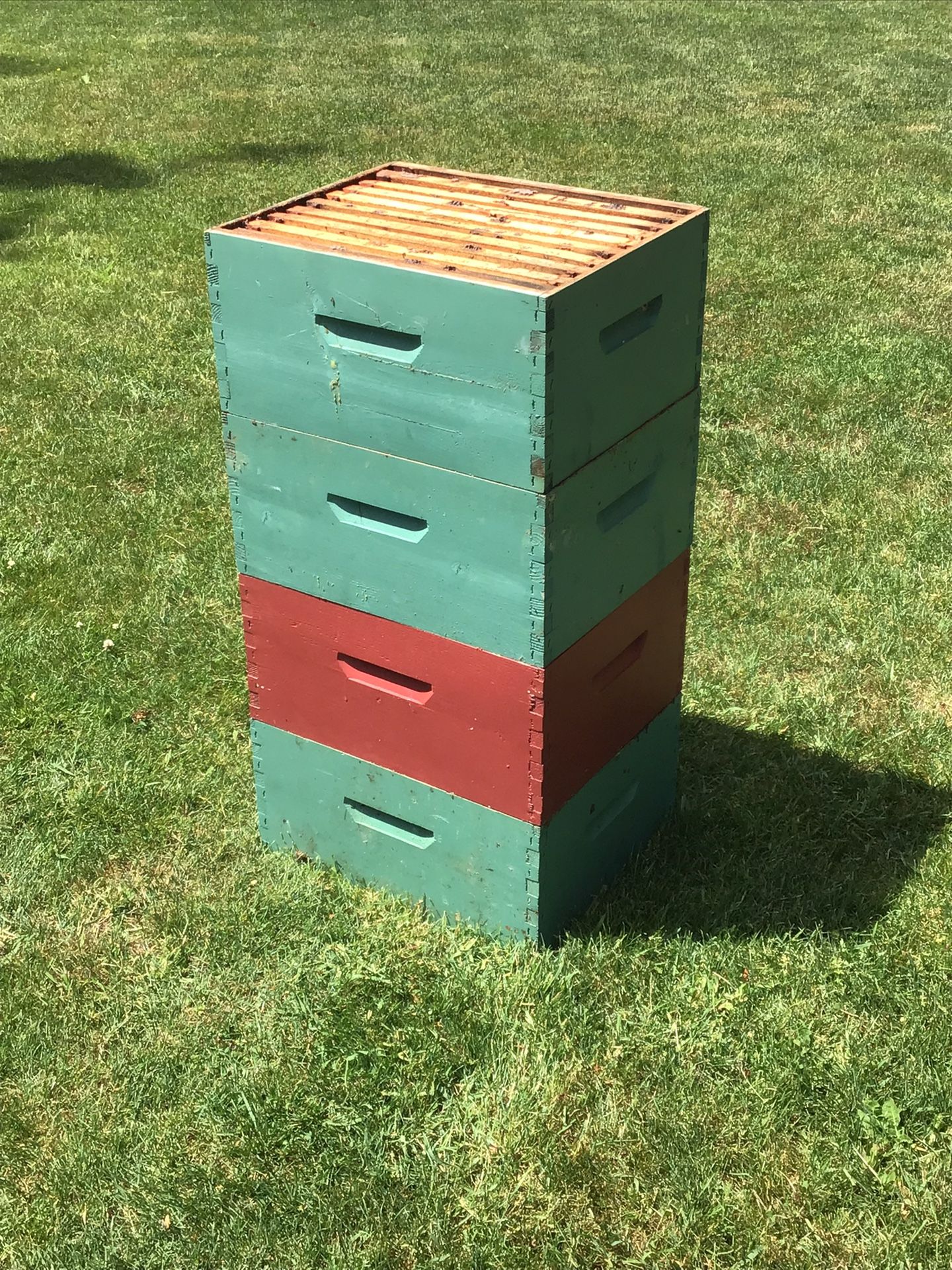 Deep Bee Boxes With Frames - Multiple Colors for Sale in Rochester, WA ...