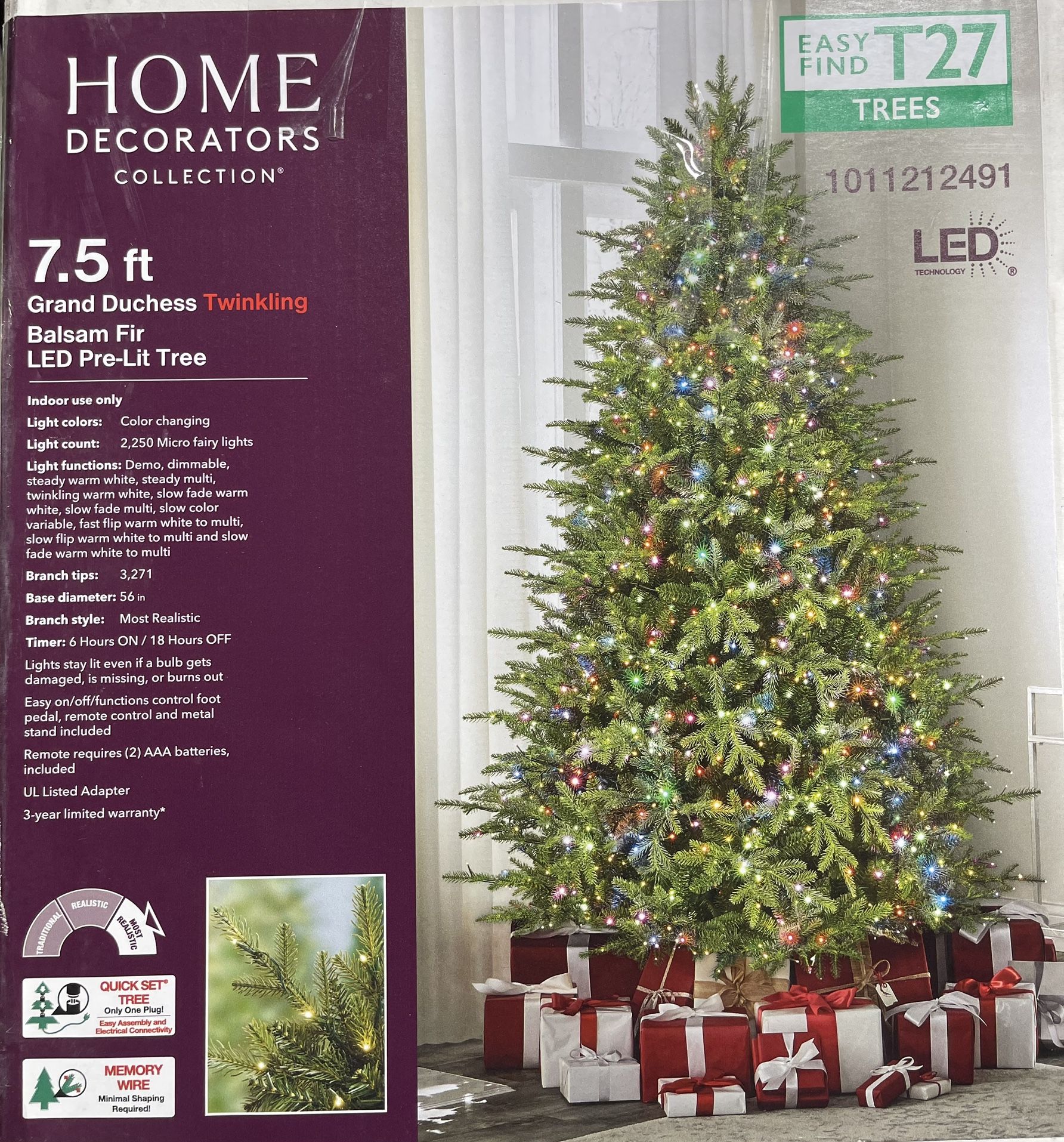 75 Grand Duchess Balsam Fir