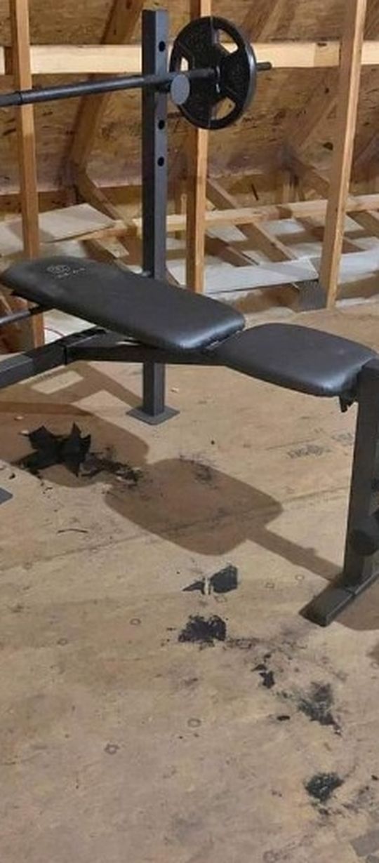 Gold's Gym Adjustable Weight Bench Bar And 80 Lb Of Weight for Sale in ...