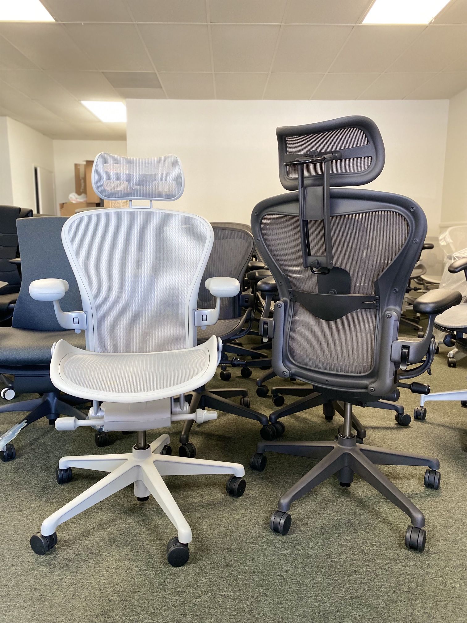 NEW HERMAN MILLER REMASTERED AERON!!! FULLY LOADED!!! MANY AVAILABLE ...