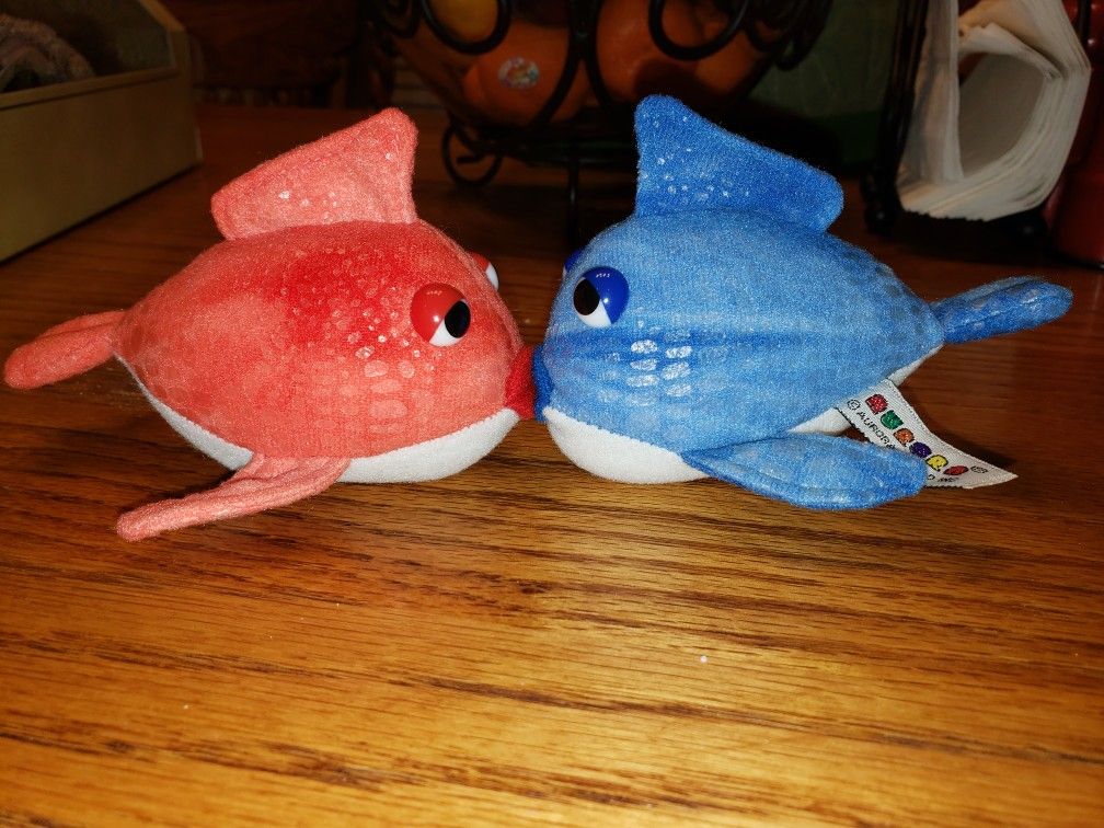 Orange Kissing Fish
