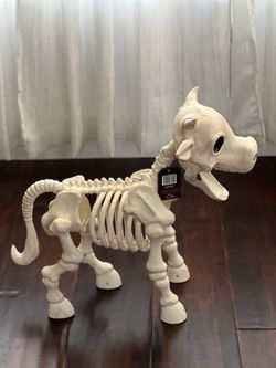 Red shed Cow Skeleton for Sale in Corona, CA - OfferUp