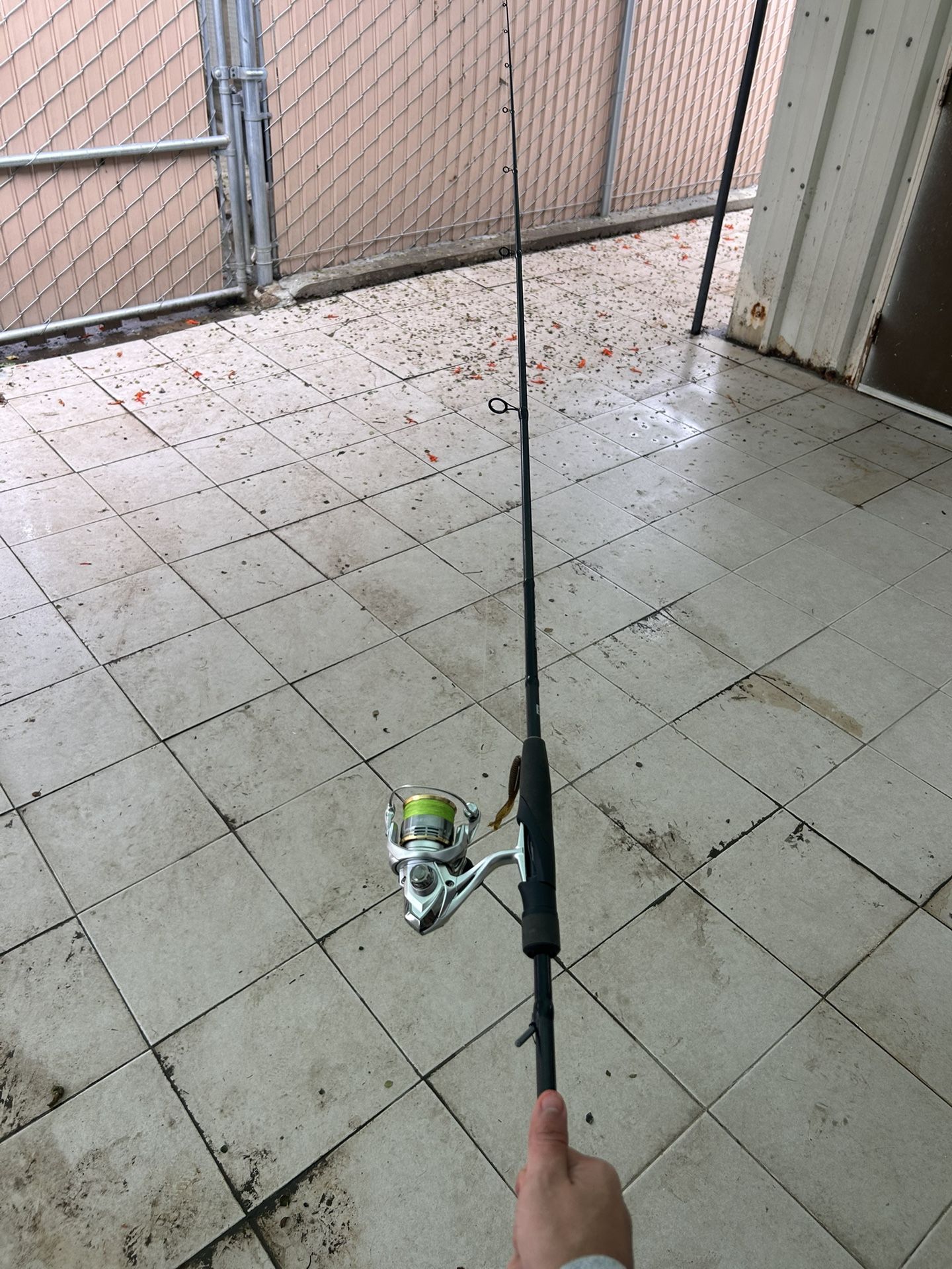 Spinning Rod Set Up for Sale in Bakersfield, CA - OfferUp