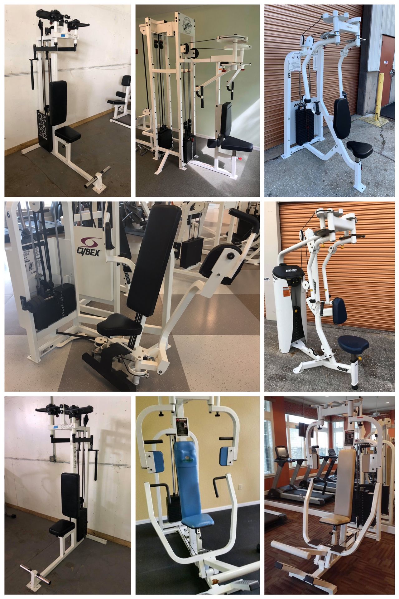 Pec Deck/ Pec / Chest Fly/ Rear Delt / Butterfly Machines- A Dozen ...