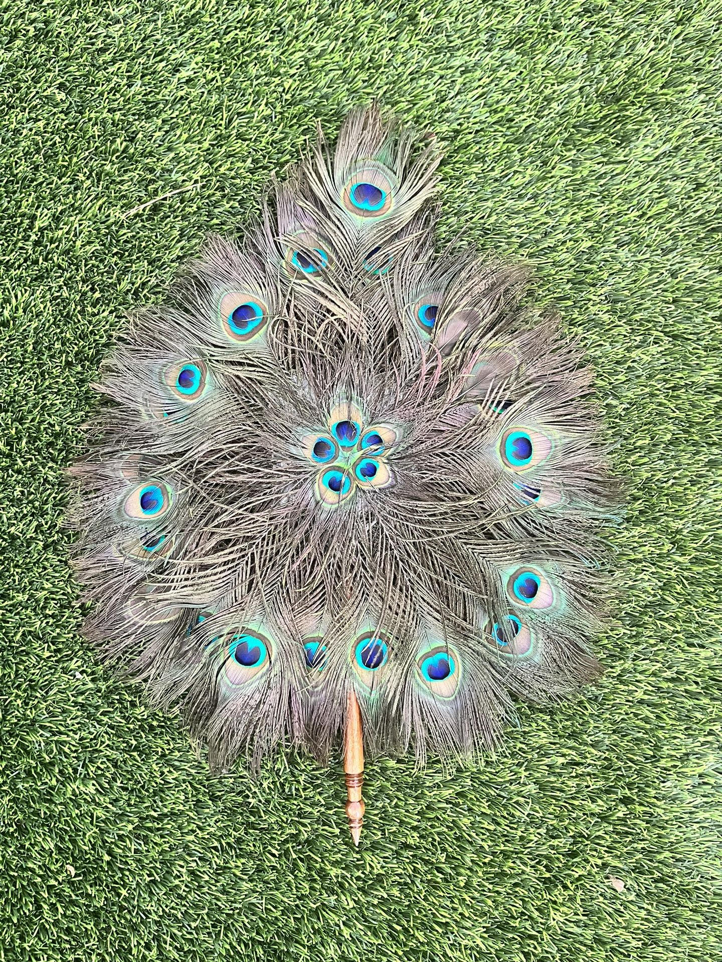 Large Peacock Feather Fan