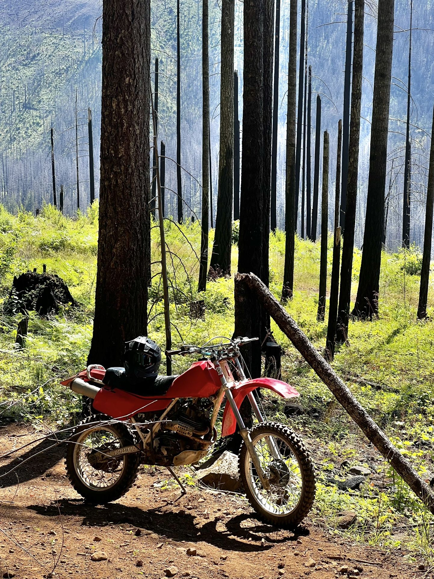 1982 Honda XR250r for Sale in Clackamas, OR - OfferUp