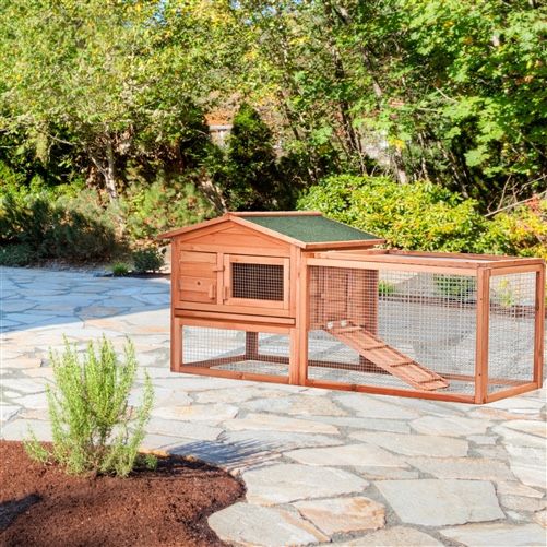 Rabbit / chicken coop hatch for Sale in Maple Valley, WA - OfferUp