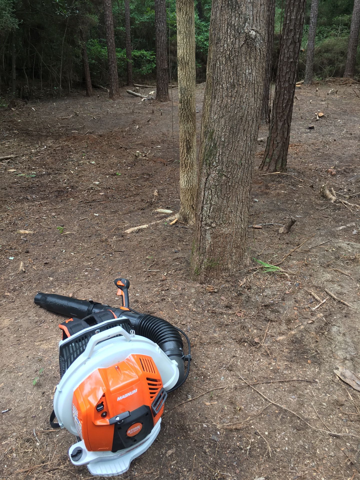 BR 800 X Blower Stihl Few Months Old Has Warranty For Sale In La BR 800 X Blower Stihl Few Months Old Has Warranty For Sale In La