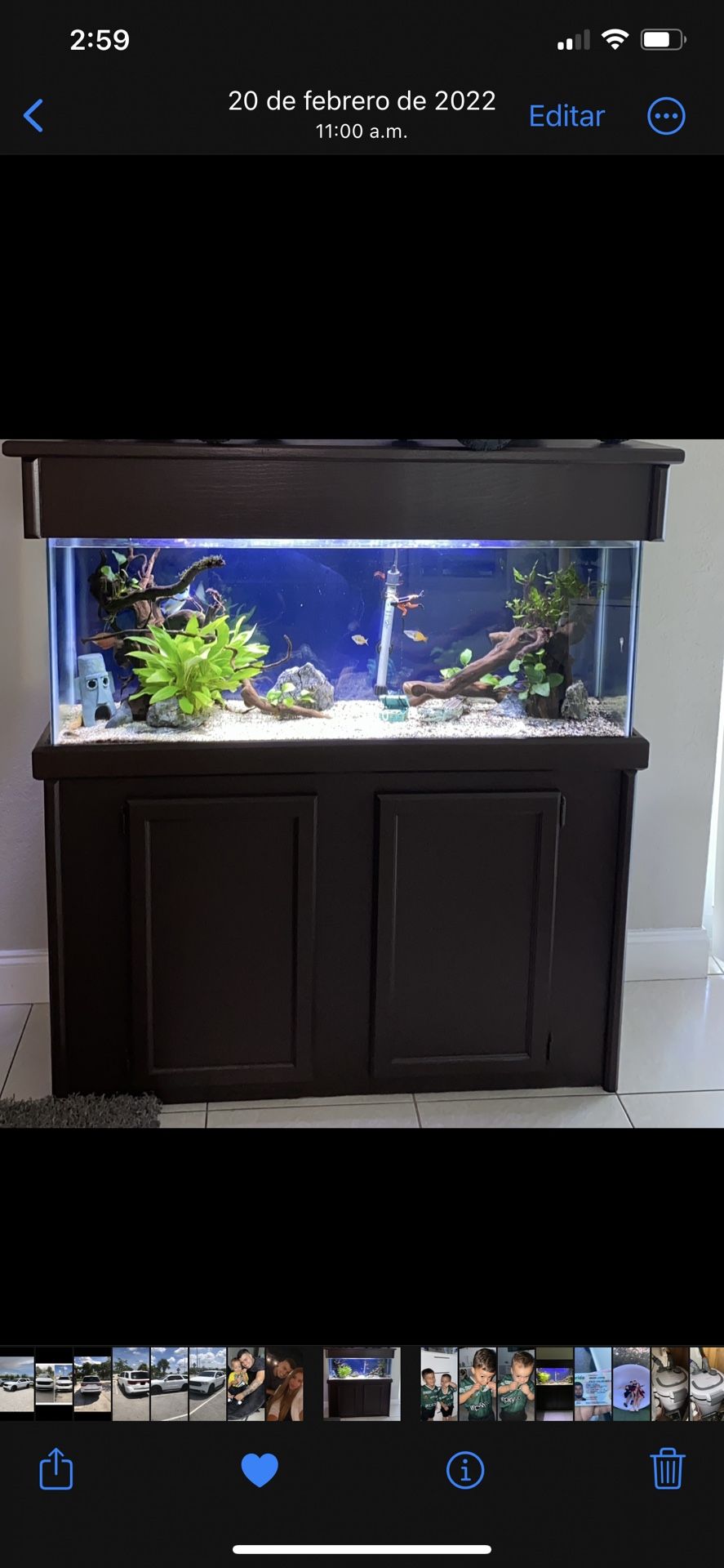 Aquarium Acuario Pecera Fish Tank for Sale in Hollywood, FL - OfferUp