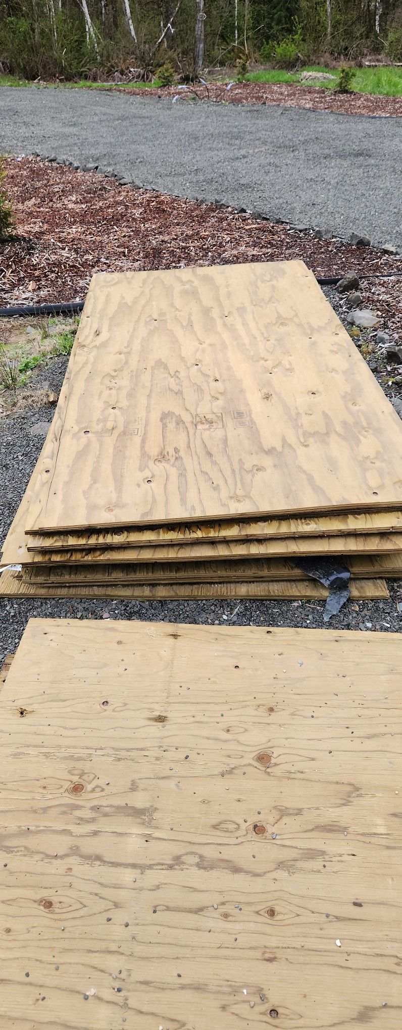 Severe Weather 3/4-in x 4-ft x 8-ft Pressure Treated Douglas Fir ...