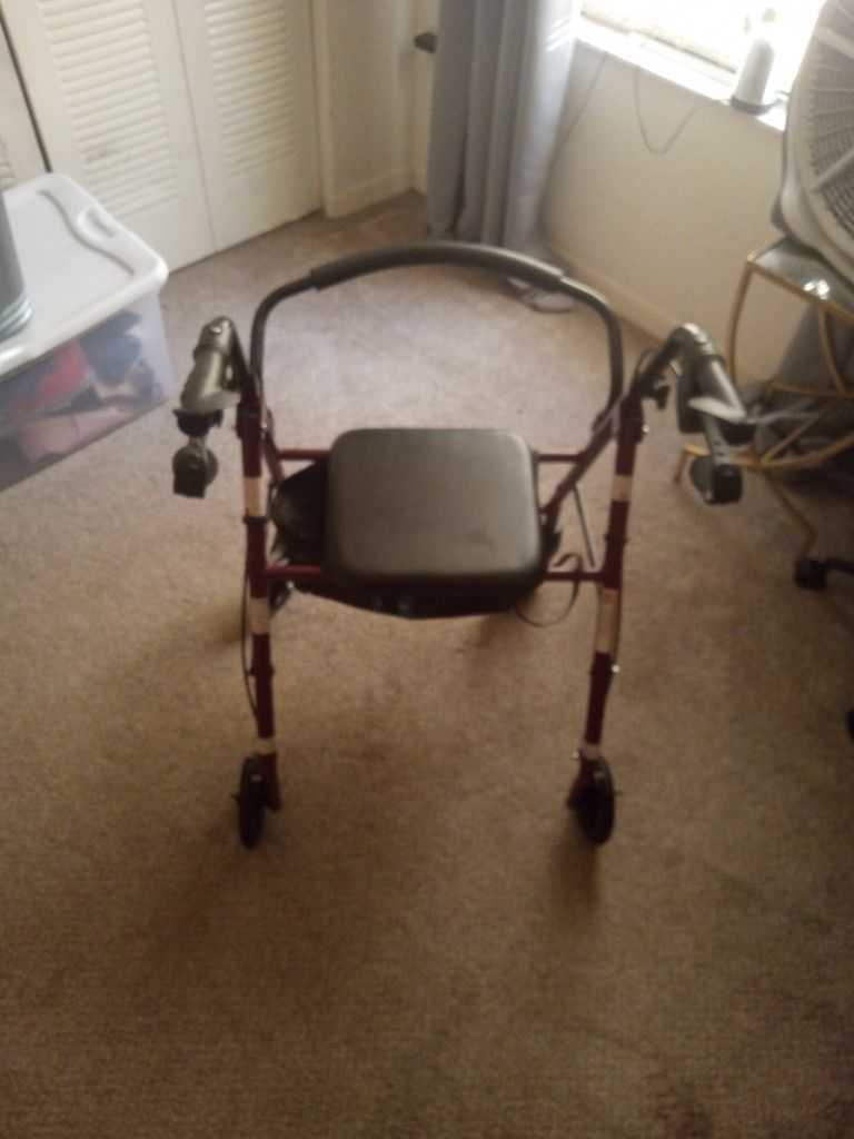 Adult Sit/Push Walker for Sale in Sanford, FL - OfferUp