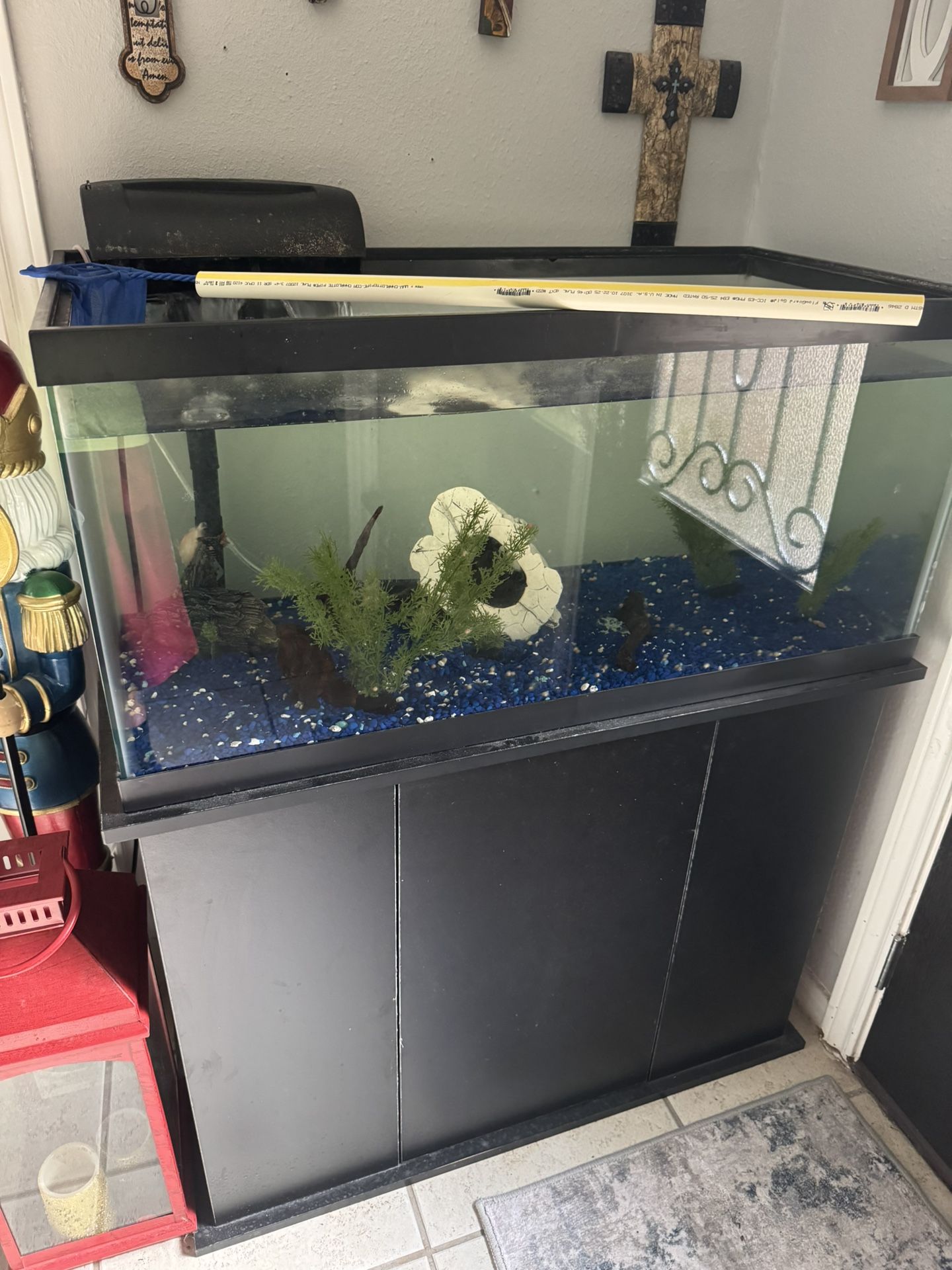 40 Gallon Fish Tank With stand for Sale in Spring, TX - OfferUp