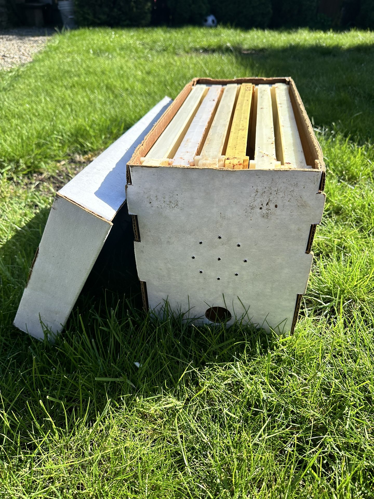 White Waxed Corrugated Cardboard Nuc Box, Bee Transport Box With Frames ...