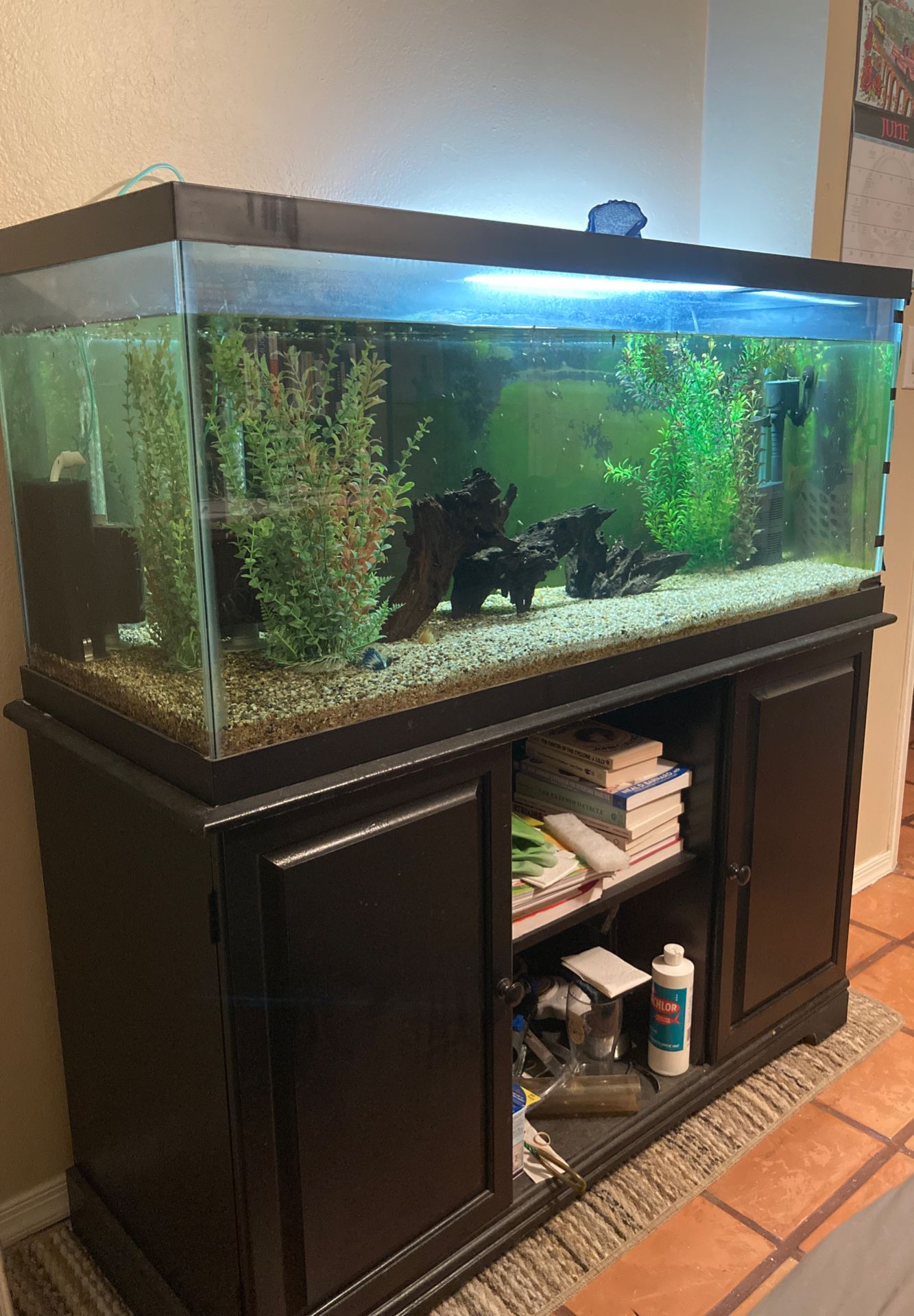 75 gallon aquarium with stand, filters and tons of extras for Sale in ...