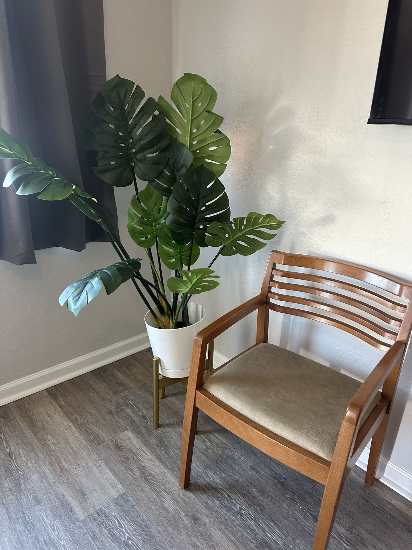 Fake Plant for Sale in San Diego, CA - OfferUp