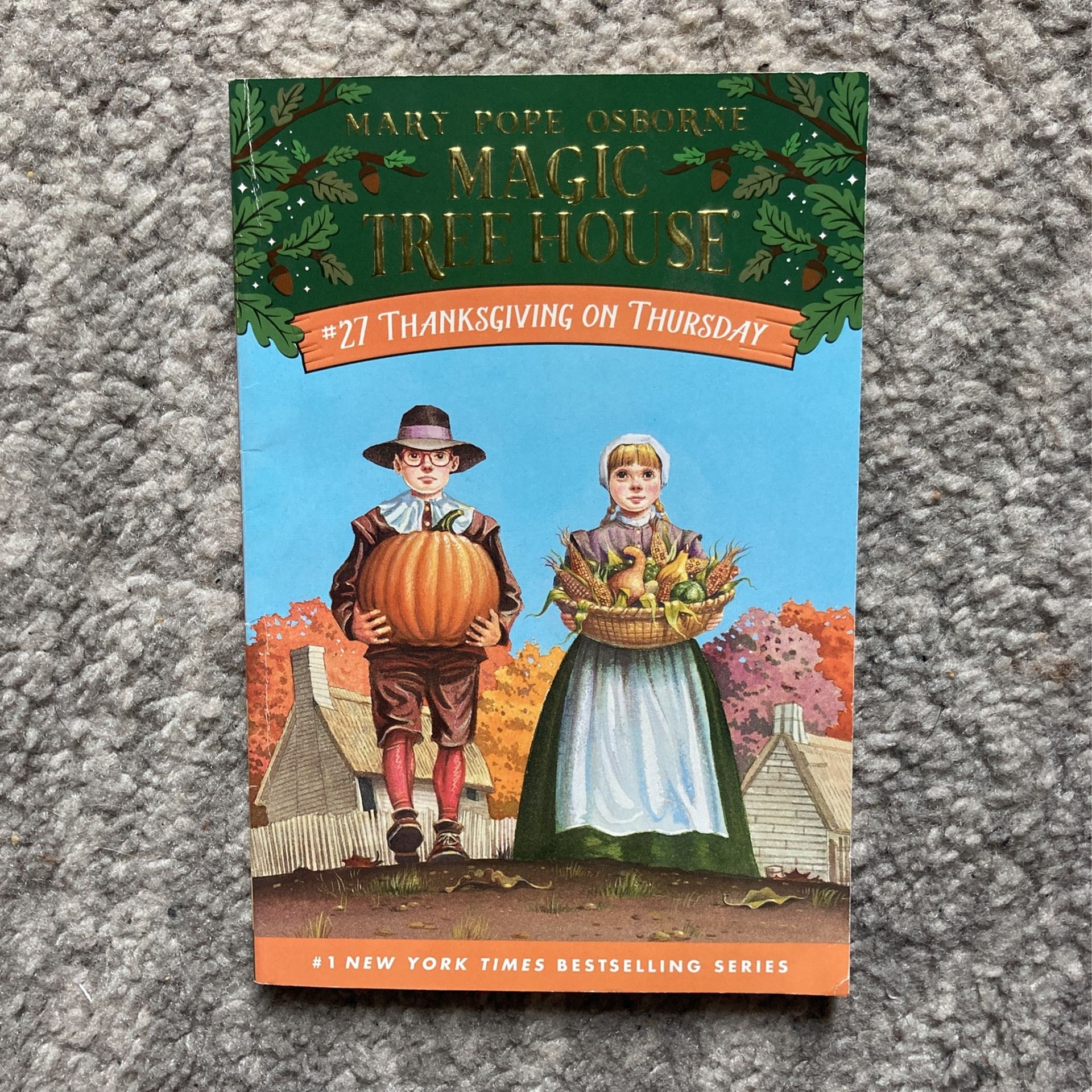 Magic Tree House Thanksgiving On Thursday