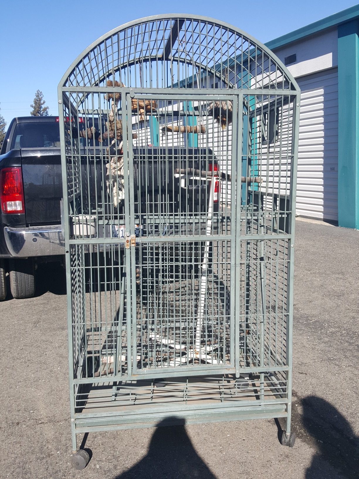 Cockatoo Cage Stainless Steel