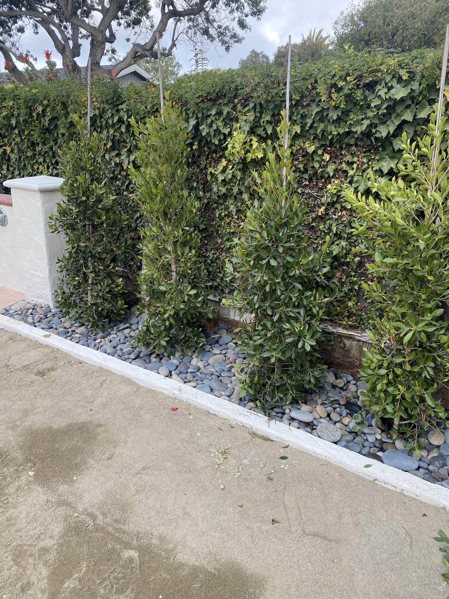 Spanish Pebbles for Sale in Irvine, CA - OfferUp