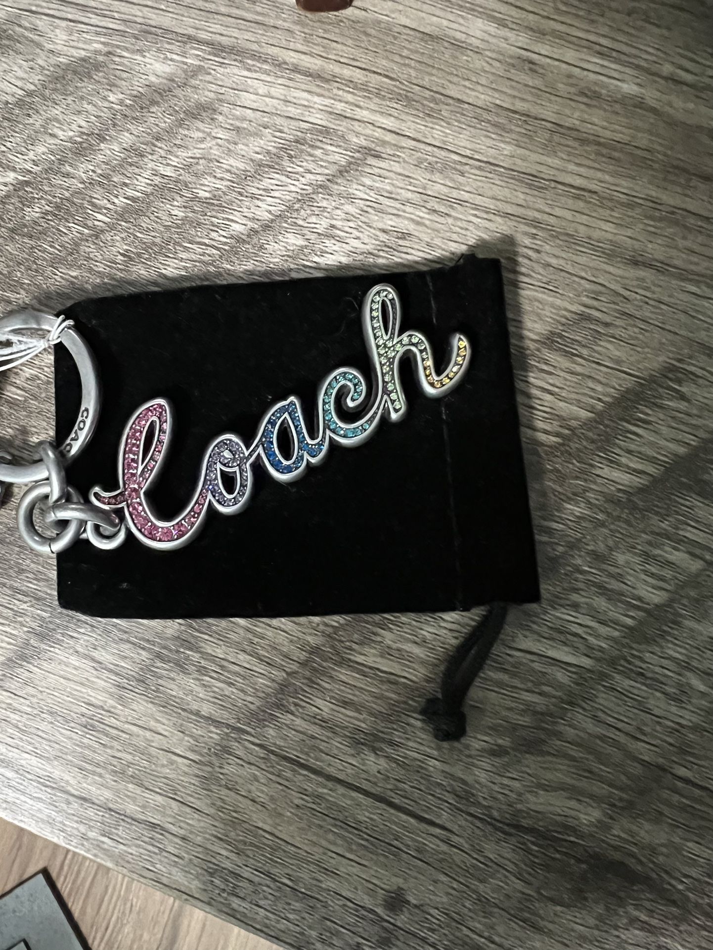 Coach Key Chain for Sale in Brush Prairie, WA - OfferUp