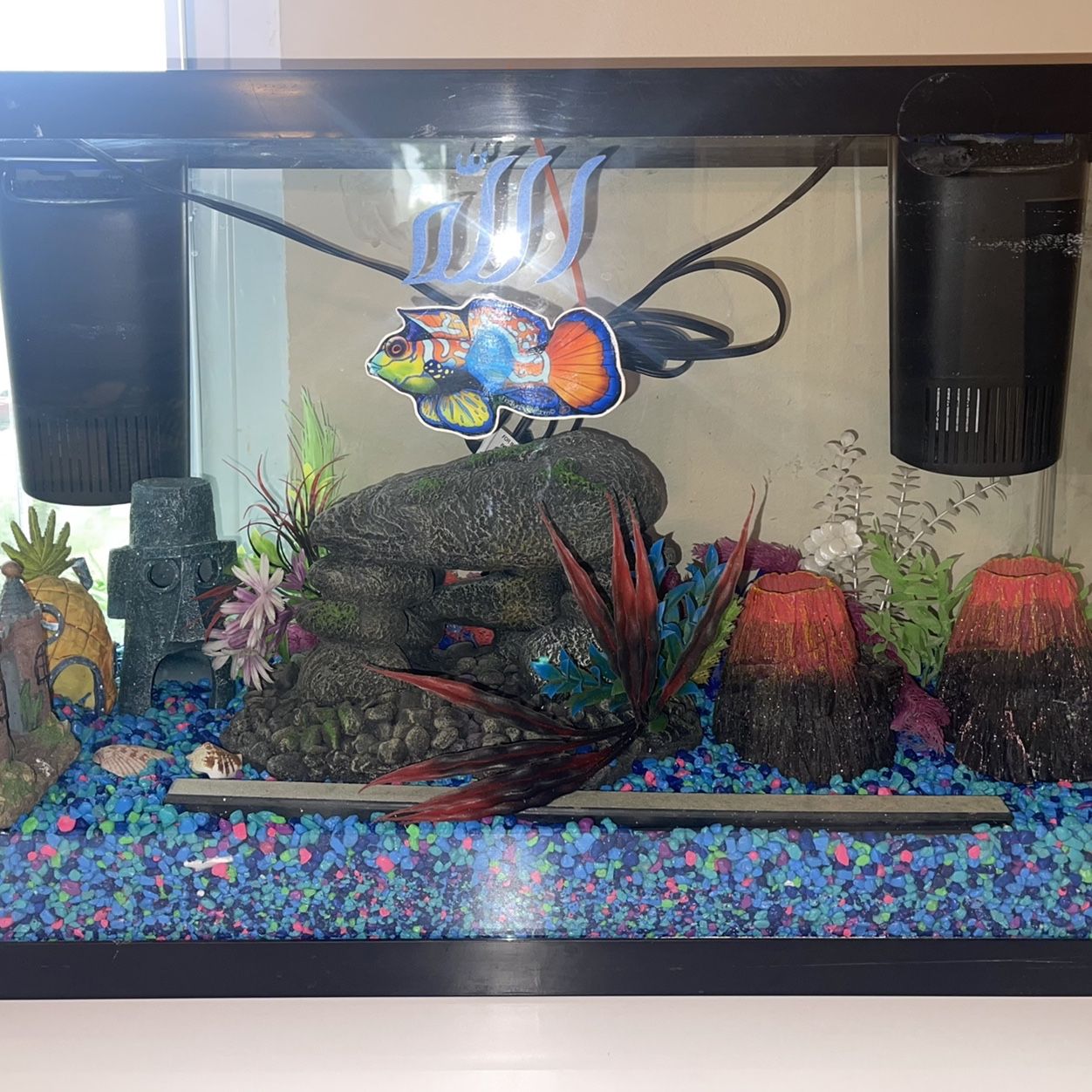 Cool Fish Tanks In House