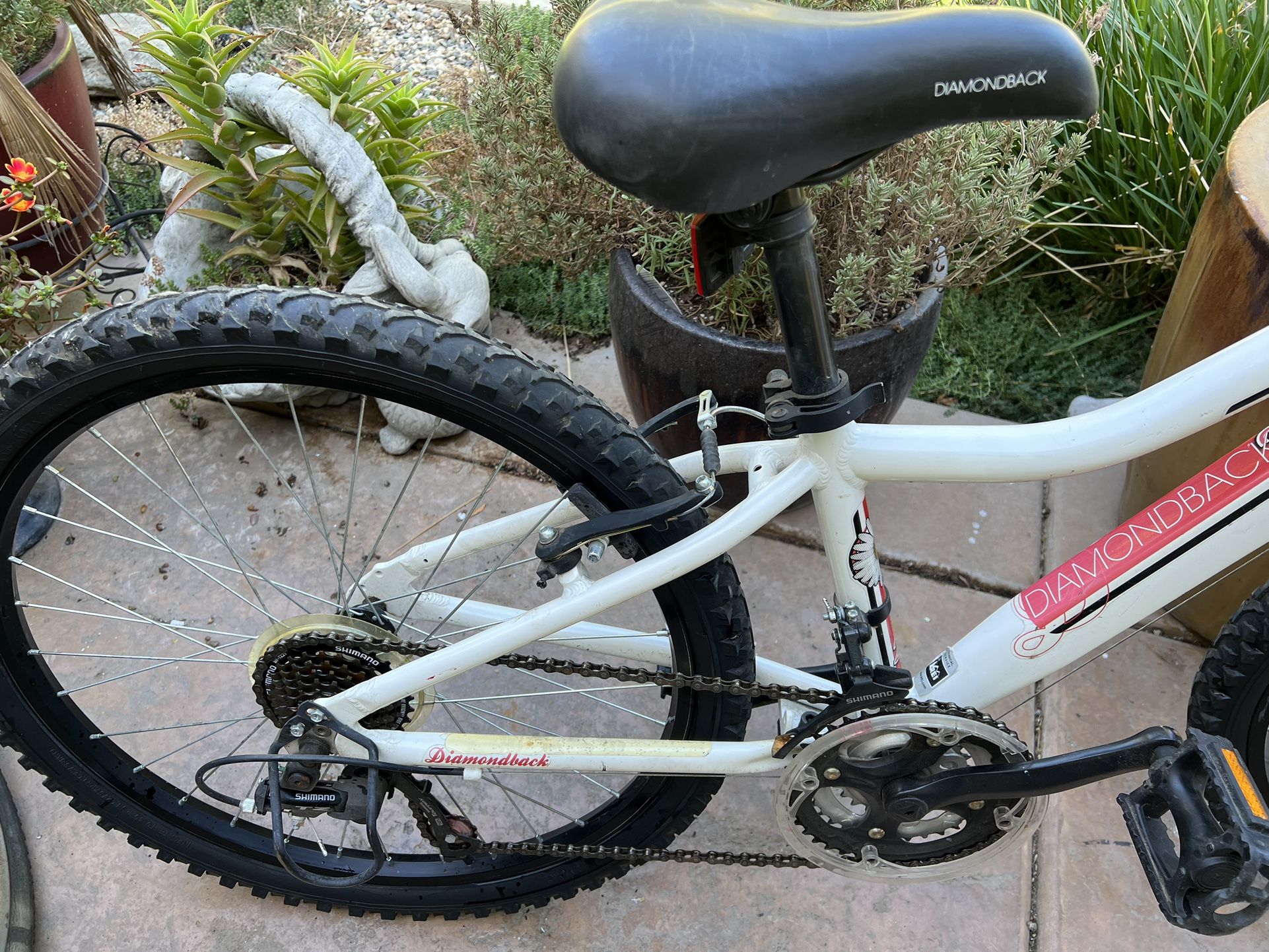 Diamondback Mountain Bike 24 for Sale in Lathrop, CA - OfferUp