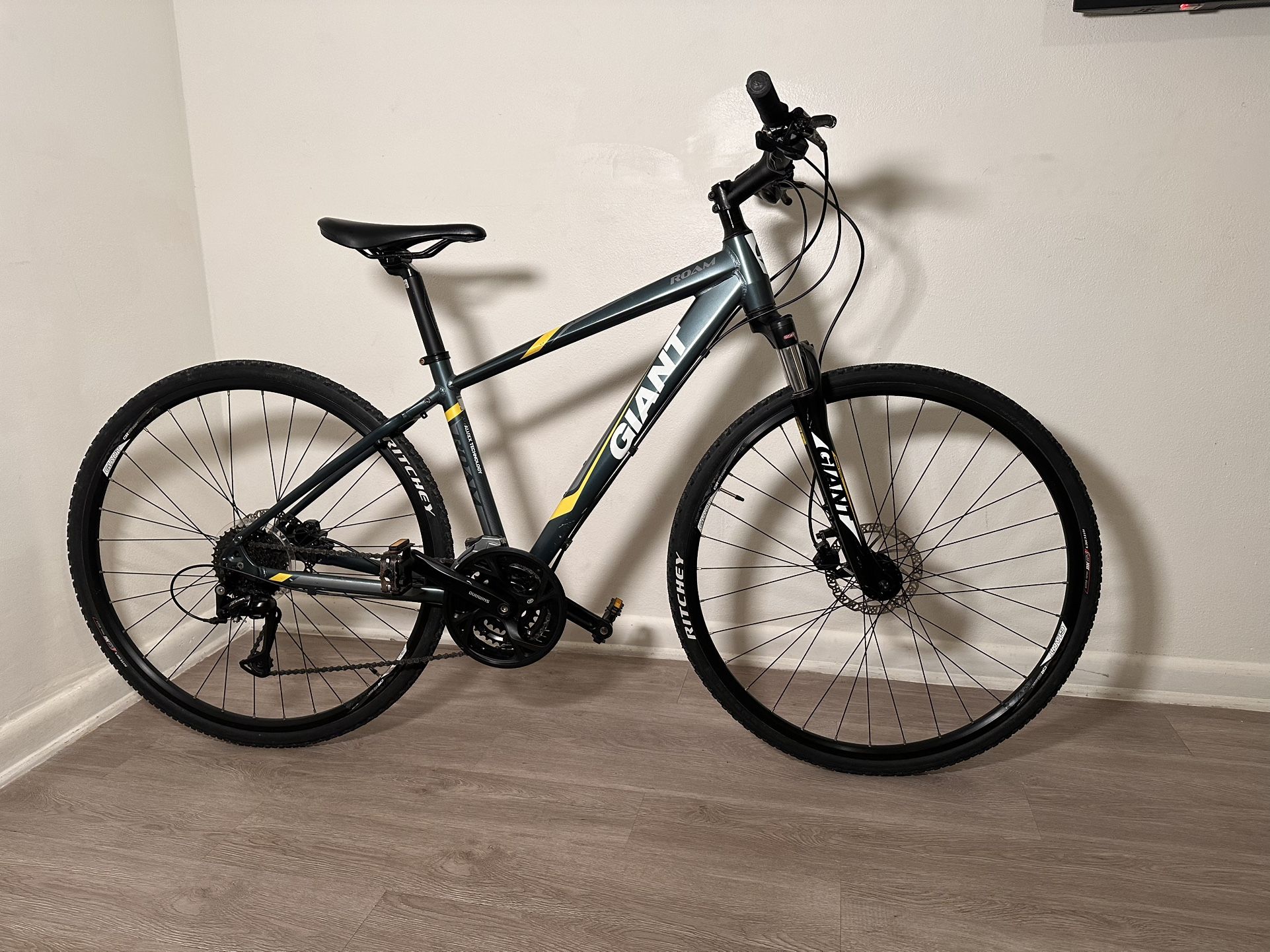 Giant Roam 2 Mountain Bike 29” With Hydraulic Brakes. All Perfect. New ...