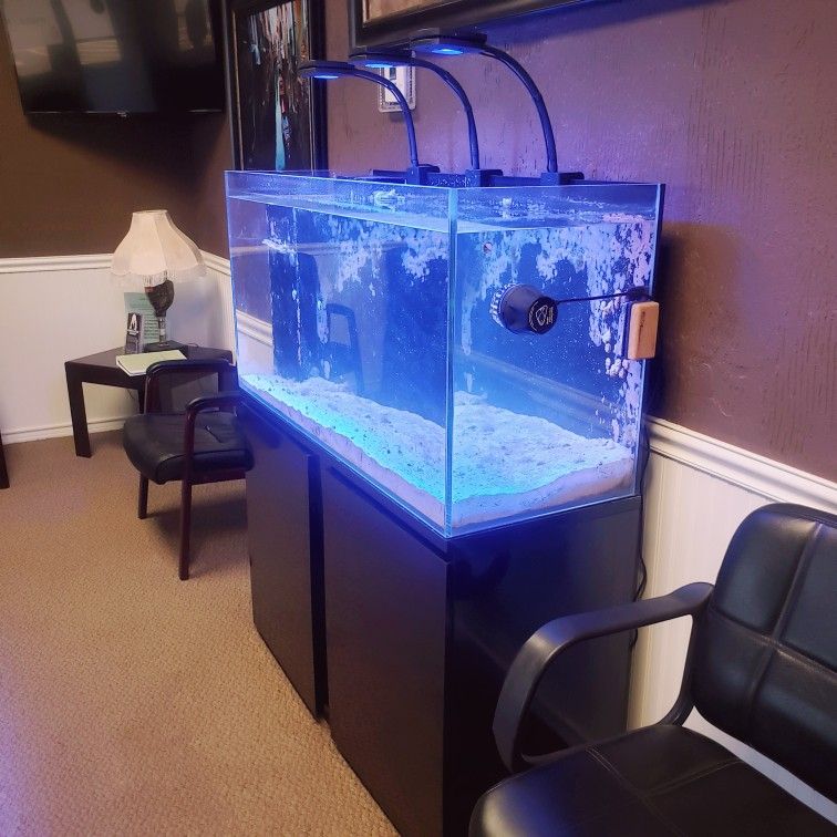 Salt-Water Rimless 90-Gallon Fish Aquarium with Stand, Complete Tank ...