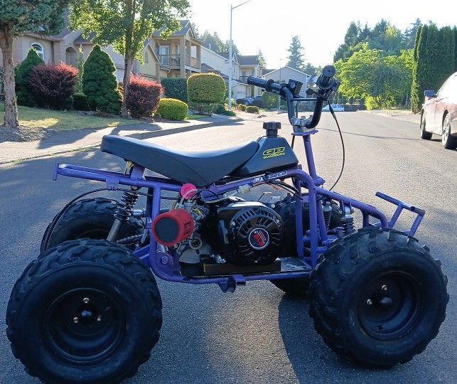 Predator 212cc Mini Quad - 30 MPH | Torque Converter, Modded, Fast ...