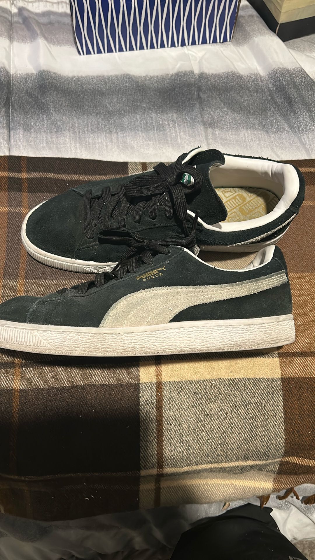 Puma Shade for Sale in North Las Vegas, NV - OfferUp