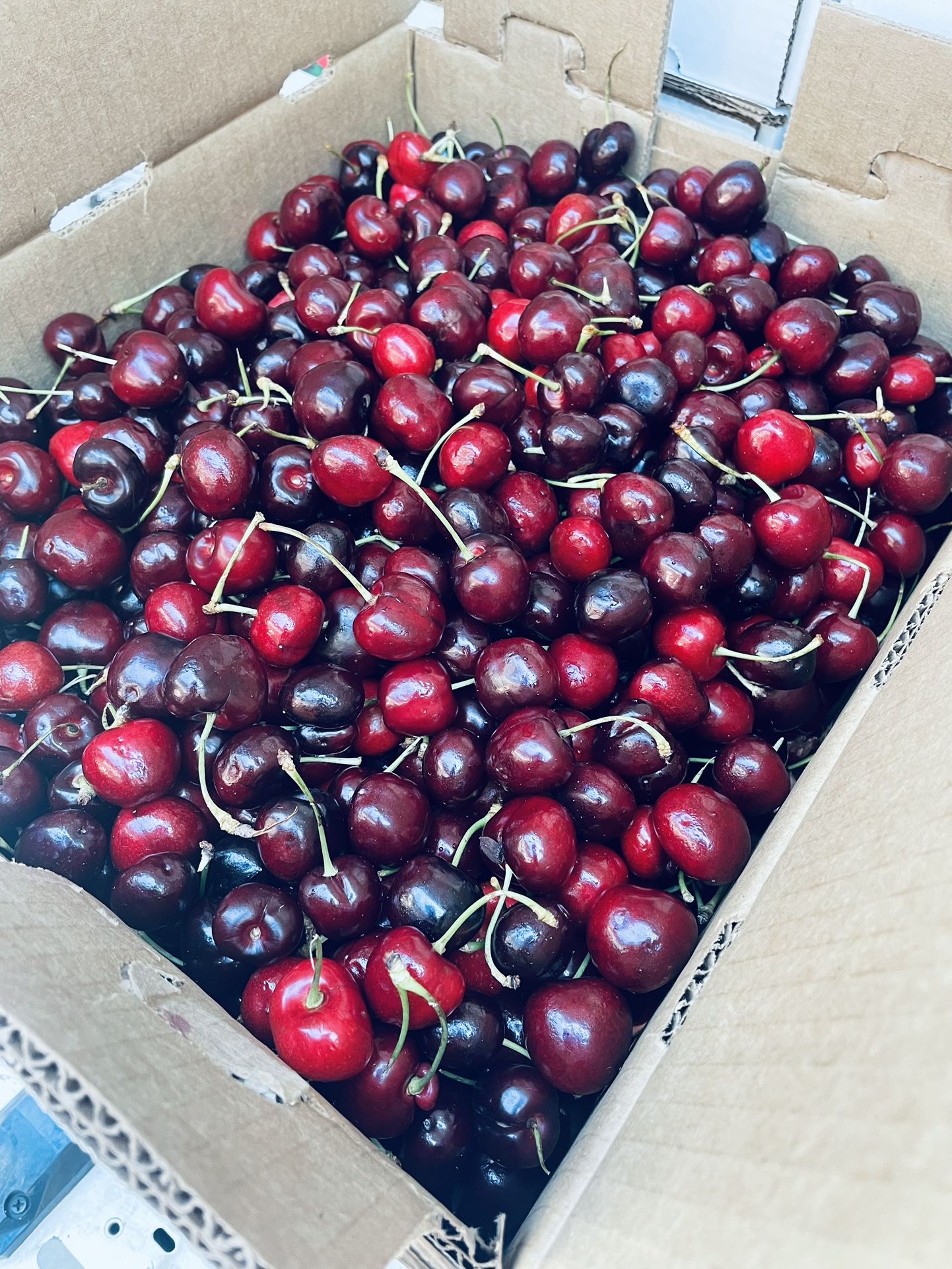 cherry bien dulce $25 o 2 por $40 18 libras la caja for Sale in ...