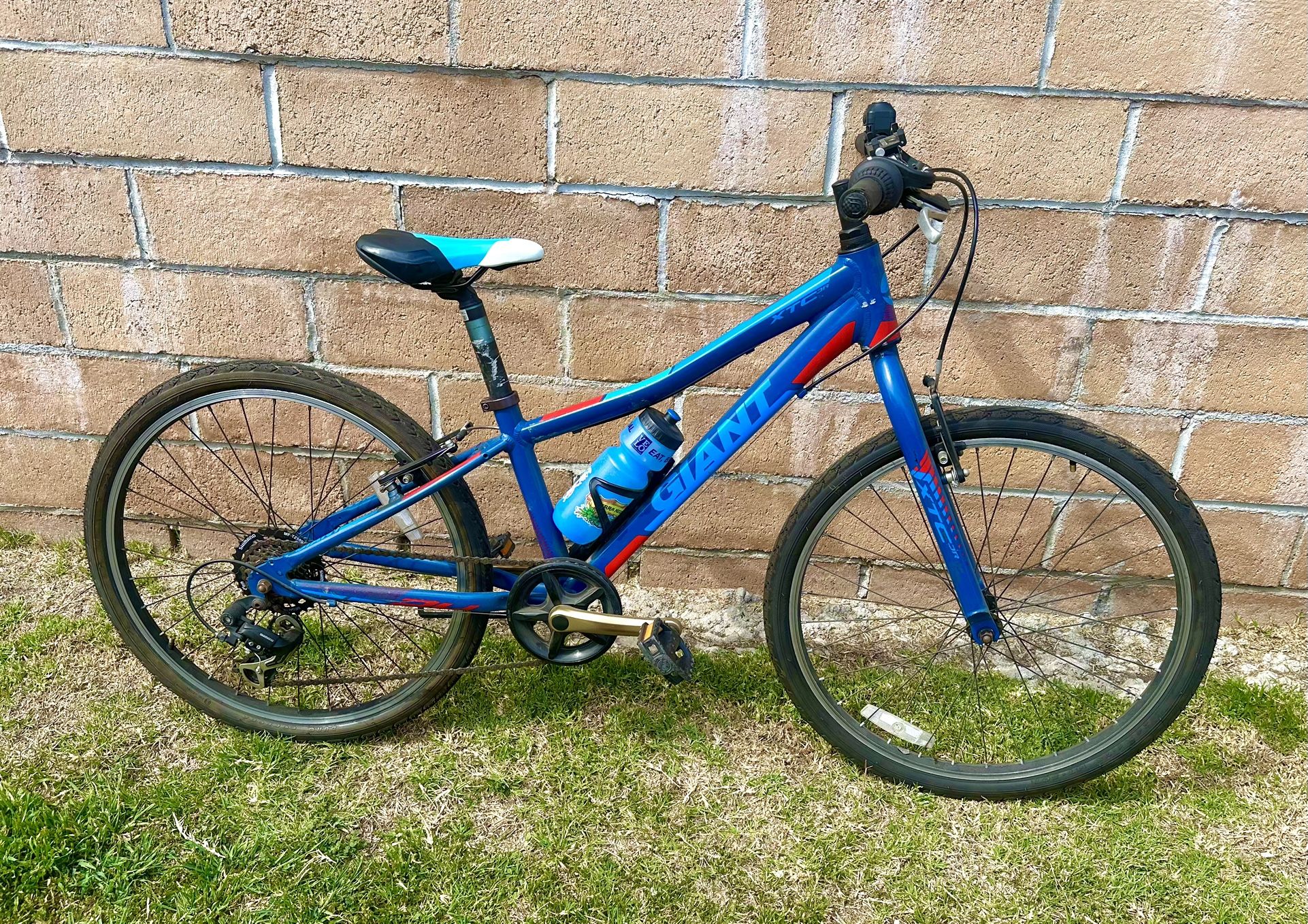Giant XTC JR Aluxx Aluminum Technology 24” MTB Kids Youth Bike for Sale ...