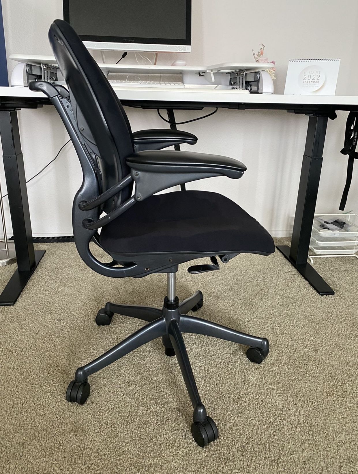 Humanscale Freedom Fully Adjustable Model with Gel Seat&back And New ...