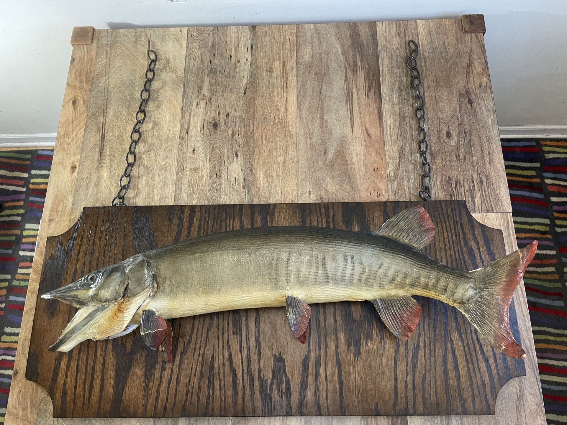 Vintage Muskellunge Muskie Musky Fish Taxidermy Mounted on a Wooden ...